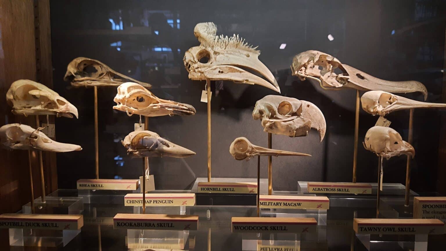 12 Museums in London you should not miss in 2026